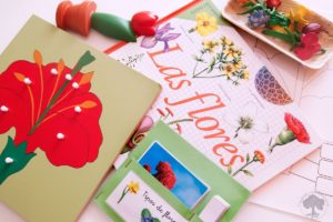 Tarjetas tres partes Tipos de Flores + Imprimible – Creciendo Con ...