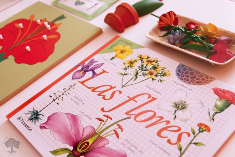 Tarjetas tres partes Tipos de Flores + Imprimible – Creciendo Con ...