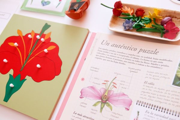 Tarjetas tres partes Tipos de Flores + Imprimible – Creciendo Con ...