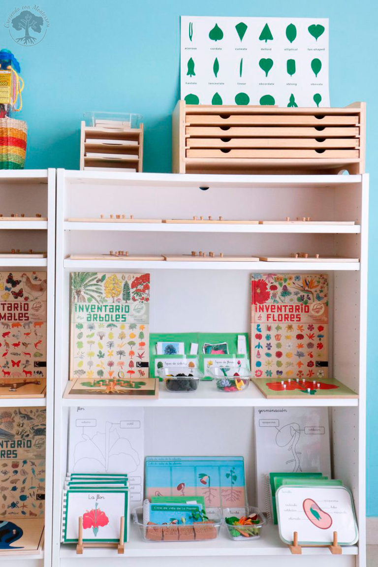 Reseña Inventarios Kalandraka + Estantería de botánica y zoología ...