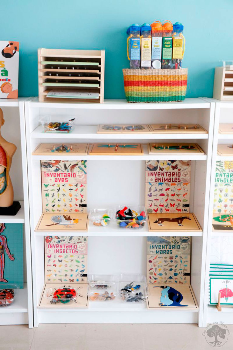 Reseña Inventarios Kalandraka + Estantería de botánica y zoología ...