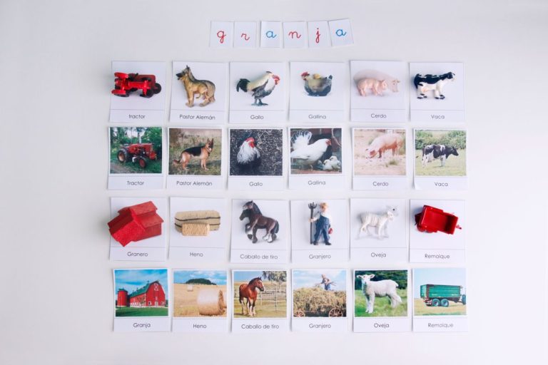 Reseña Inventarios Kalandraka + Estantería de botánica y zoología ...