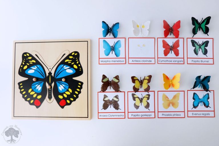 Reseña Inventarios Kalandraka + Estantería de botánica y zoología ...