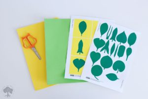 Tutorial Gabinete de Botánica Montessori DIY – Creciendo Con Montessori