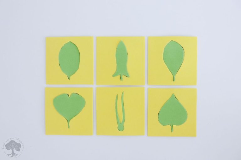 Tutorial Gabinete de Botánica Montessori DIY – Creciendo Con Montessori