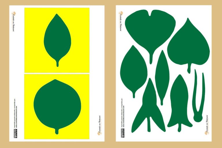 BOTANICA – Creciendo Con Montessori