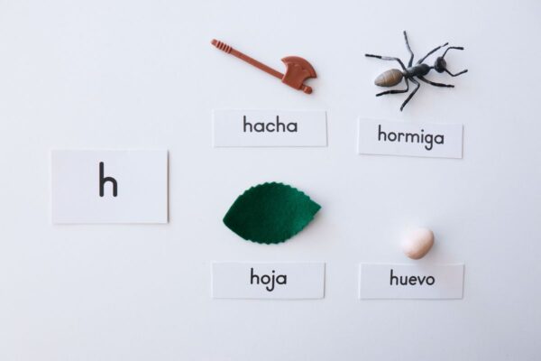 Caja de sonidos Montessori Serie Blanca + Imprimible Gratis – Creciendo ...