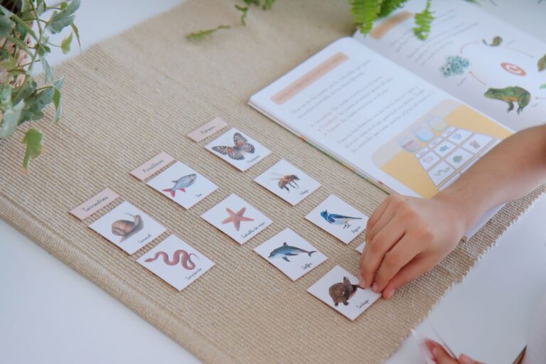 Libros Descubre la Naturaleza con Montessori – Creciendo Con Montessori