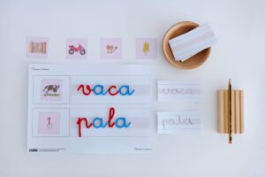 Materiales de Lenguaje – Series de color – Creciendo Con Montessori