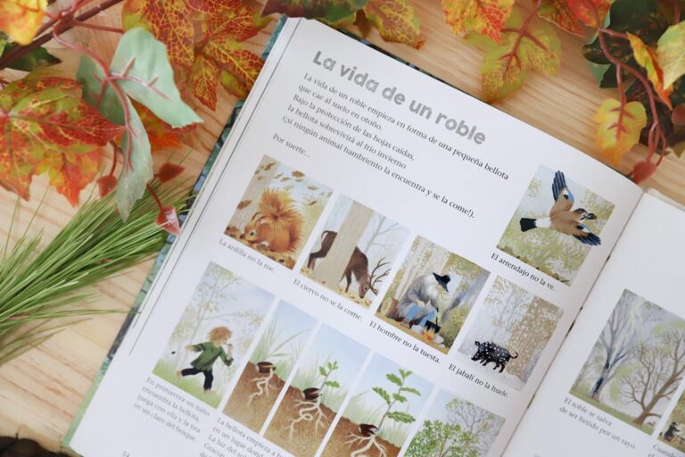 Libros sobre las estaciones del año – Creciendo Con Montessori