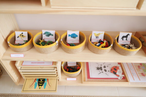 Estantería Montessori de Zoología para 4-5 años – Creciendo Con Montessori