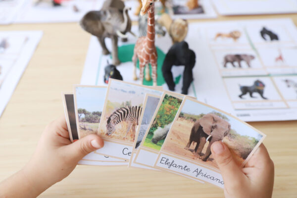 Cajas de Continentes Montessori – Animales del Mundo – Imprimible ...