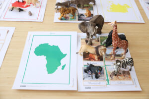 Cajas de Continentes Montessori – Animales del Mundo – Imprimible ...